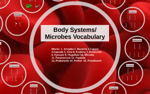 Body Systems/Microbes Vocabulary by Kacey Cooper on Prezi