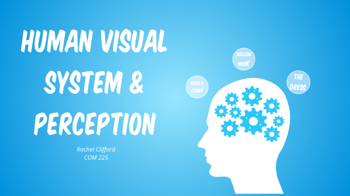 Informative Speech Visual Aid by Rachel Clifford on Prezi