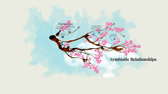 Symbiotic Relationships by Josie Bishop on Prezi