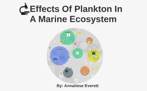 Effects Of Plankton In A Marine Ecosystem by Sam Everett on Prezi