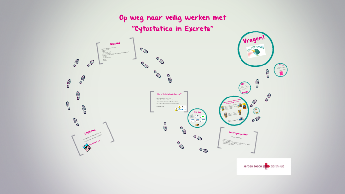 Op weg naar veilig werken met "Cytostatica Excreta" by Patricia van ...