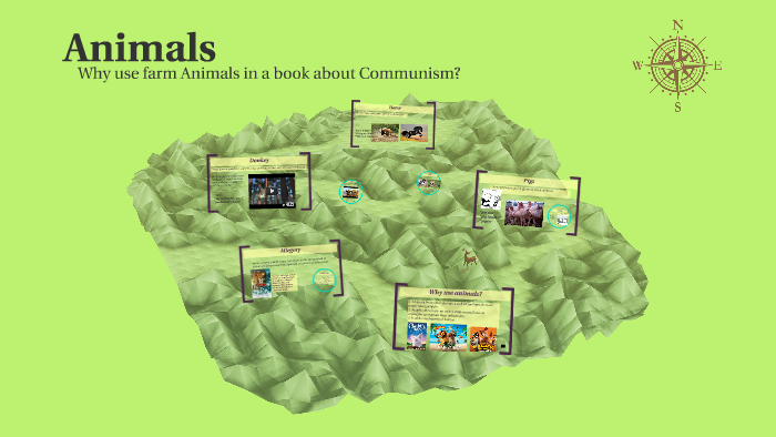 Animal Stereotypes by Dannielle Elison on Prezi