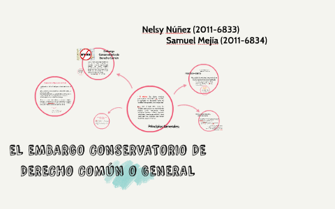 EL EMBARGO CONSERVATORIO DE DERECHO COMÚN O GENERAL. by Nelsy Núñez ...