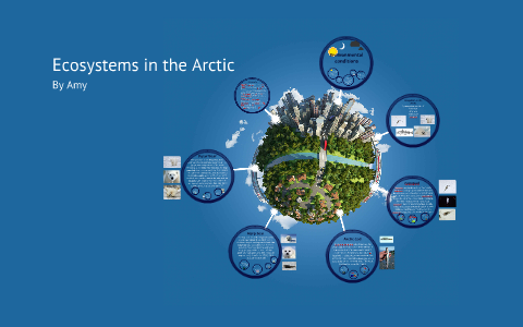 Ecosystems in the Arctic by Amy Yusa on Prezi