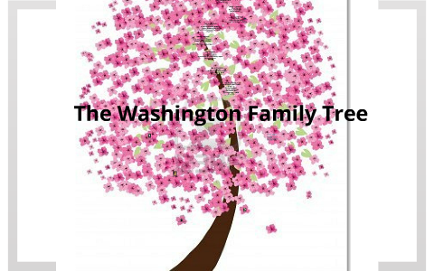 George Washington Family Tree by Amy Sorrell on Prezi