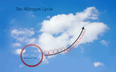Nitrogen Cycle by Nikko Canlas on Prezi