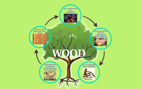Historical Importance of Wood by Bianca Garza on Prezi