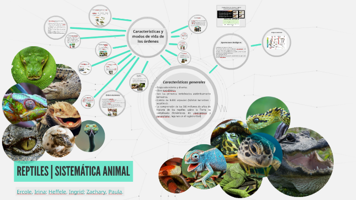 REPTILES | SISTEMÁTICA ANIMAL by Paula Zachary on Prezi