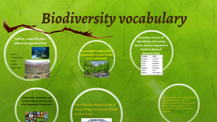 Biodiversity vocabulary by Becky Loera