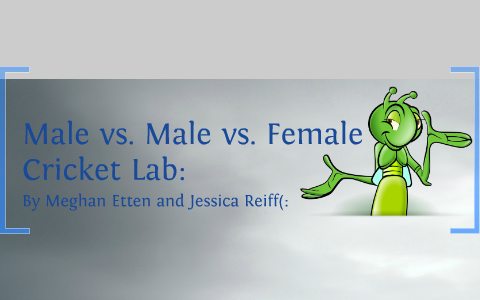 Male(S) Vs. Female Crickets(; by Jessica Reiff