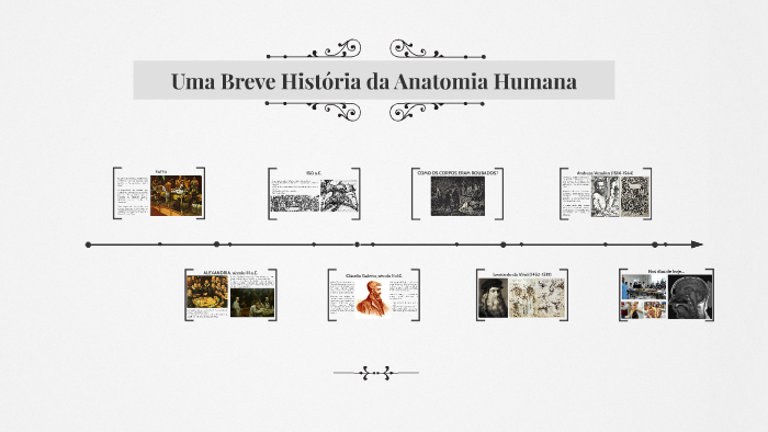 Uma Breve História Da Anatomia Humana By Yuri Craveiro On Prezi