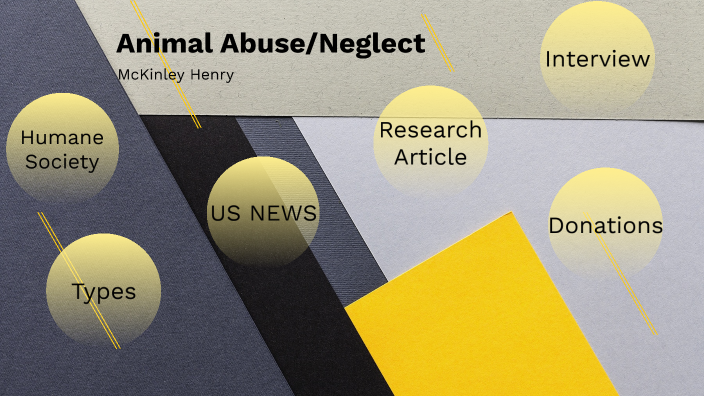 Animal Abuse Map by Mckinley Henry on Prezi