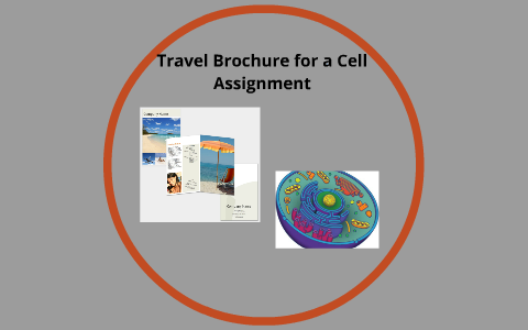Travel Brochure for a Cell by on Prezi