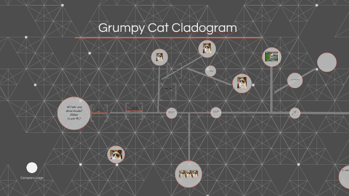 Grumpy Cat Cladogram by isabella press on Prezi
