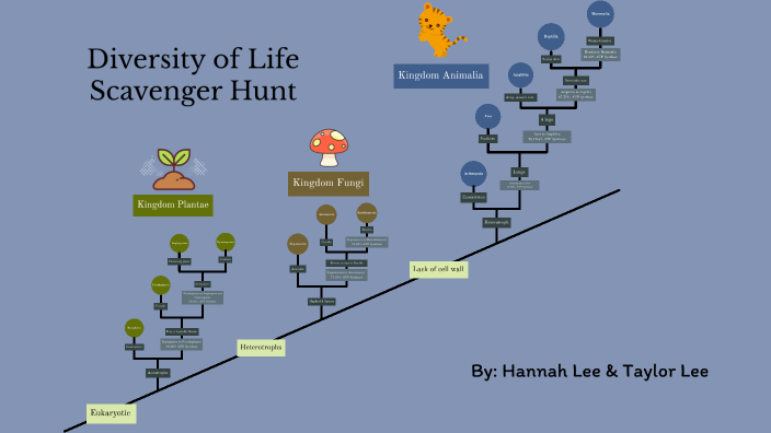 Cladogram project by Hannah Lee on Prezi