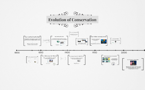 Evolution of Conservation by Phoebe Gelbard