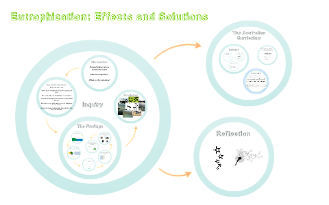 Eutrophication: Effects and Solutions by Mikaela Morton on Prezi