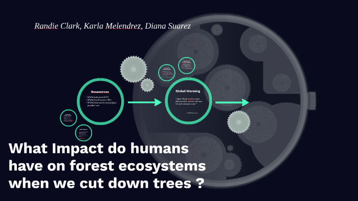 What Impact do humans have on forest ecosystems when we cut by randie ...