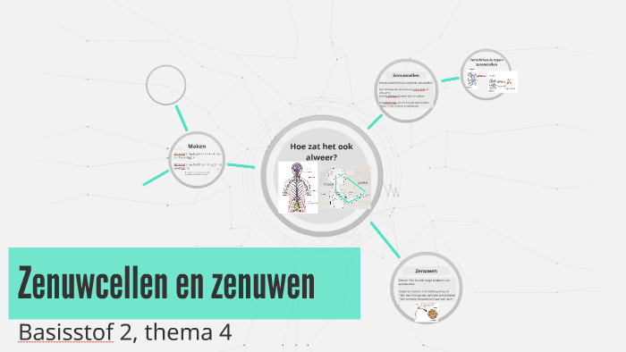 Zenuwcellen en zenuwen by Marjolein de Graaf on Prezi