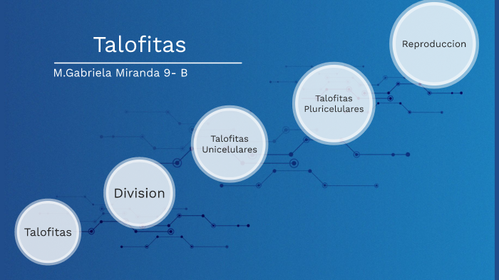 Talofitas by gabriela miranda on Prezi