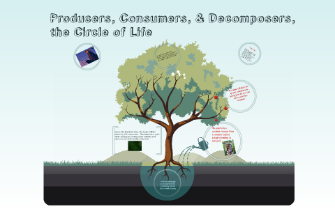 Producers, Consumers, & Decomposers by Nate Turner on Prezi