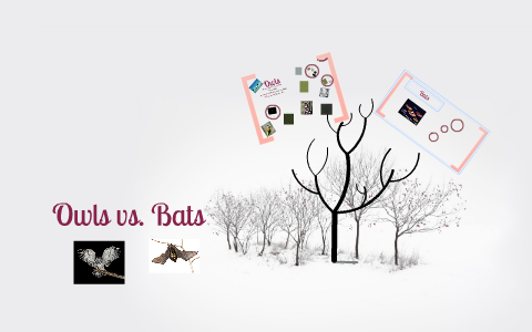Owls vs. Bats by Kathryn Chan on Prezi