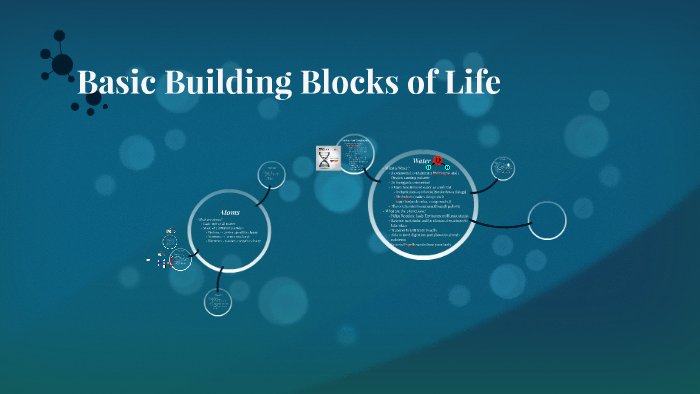 Basic Building Blocks of Life by Kaimana Kawaha on Prezi