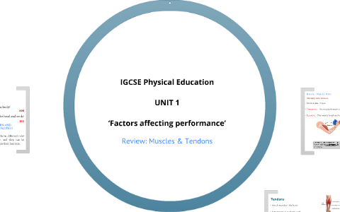 IGCSE PE Review: Muscles & Tendons by Andrew Perry on Prezi
