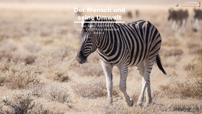 Tierprodukte und Pathozentrismus by x CaNfusion x on Prezi