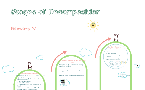 Stages of Decomposition by Caroline Maness on Prezi