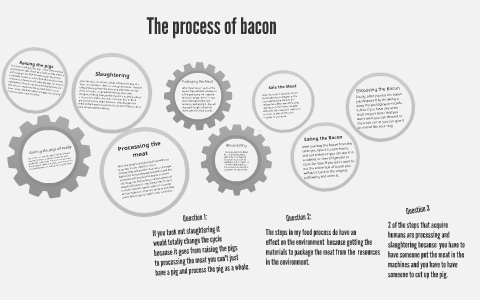 The process of bacon by lacey scott on Prezi