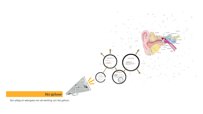 Het gehoor by Steven Koops on Prezi