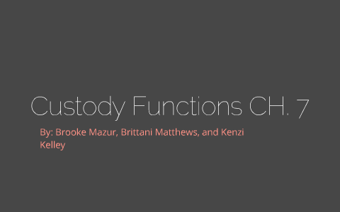 Custody Functions by brooke mazur