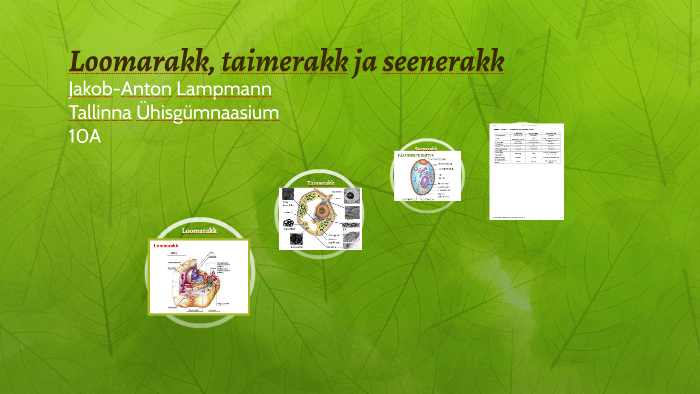 Loomarakk, taimerakk ja seenerakk by Jakob Lampmann on Prezi