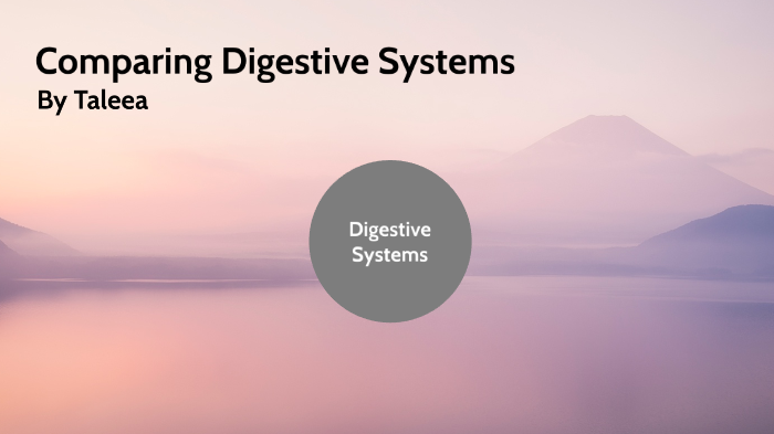 Comparing Digestive Systems by Tals Limbrick on Prezi Comparing Digestive Systems by Tals Limbrick on Prezi