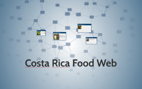Costa Rica Food Web by Audreyanya Graytok on Prezi