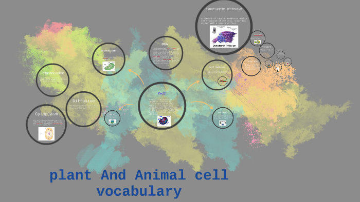 plant And Animal cell vocabulary by Marty Hinojosa on Prezi