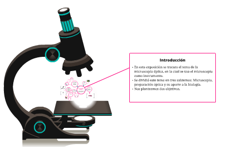 MICROSCOPIA OPTICA by Josefina Tapia on Prezi