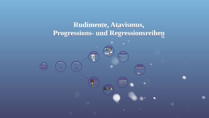 Rudimente, Atavismus, Progressions- und Regressionsreihen by Karolina ...