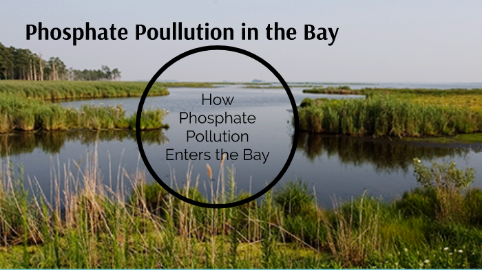 Phosphate Pollution by ana goforth on Prezi