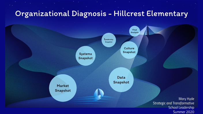 Organizational Diagnosis Part I by Mary Hyde on Prezi