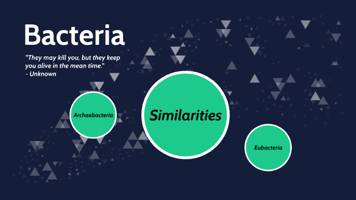 Bacteria: Graphic Organizer by Jacob Parsley on Prezi