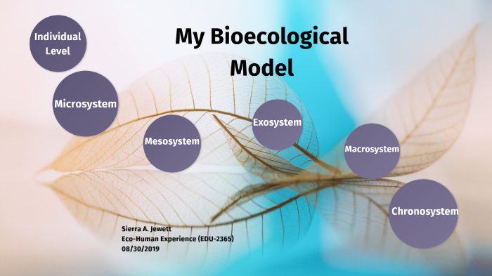 My Bioecological Model by Sierra Jewett on Prezi
