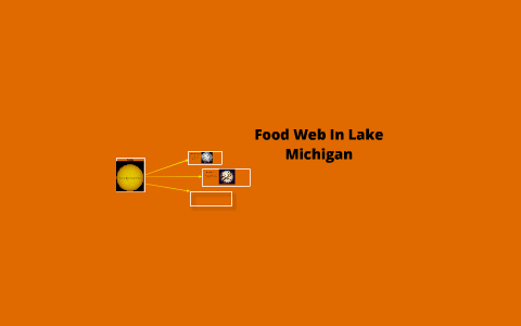 Food Web in Lake Michigan and Indiana Dunes by Elijah Coy on Prezi