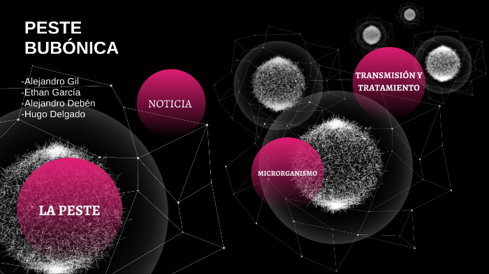 Peste Bubónica by Compuesto Química on Prezi