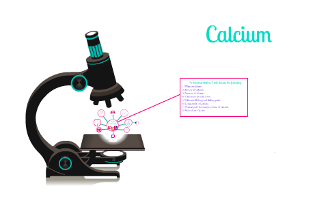 Calcium Concept Map by Jana M on Prezi