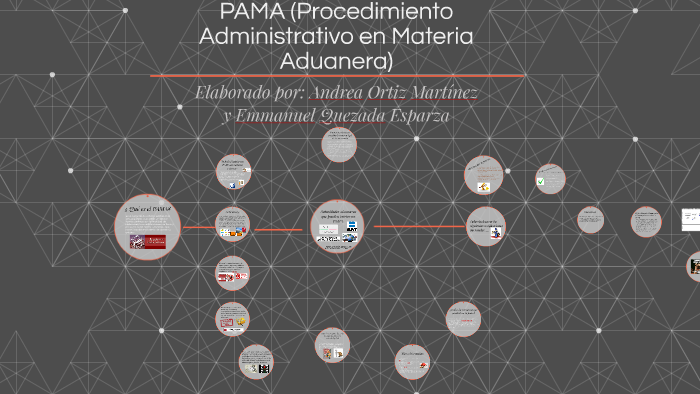 PAMA (Procedimiento Administrativo en Materia Aduanera) by Andrea Ortiz ...