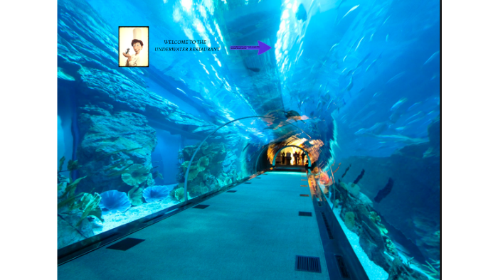 WELCOME TO THE UNDERWATER RESTAURANT by Alwix Xiwla on Prezi