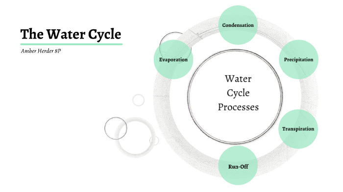 Water Cycle Processes by Amber Herder on Prezi