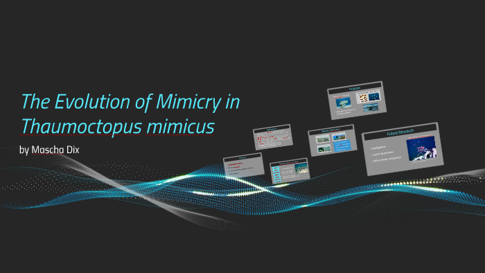 The Evolution of Mimicry in Thaumoctopus mimicus by Masha Dix